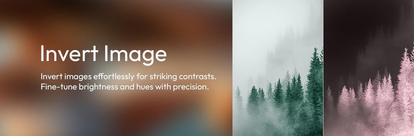 Invert Colors Image Online | Free Photo Inverter Tool - Luletools